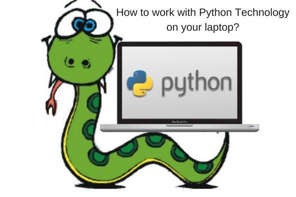 Python Technology: Features, Applications, and the Latest News | Nov ...
